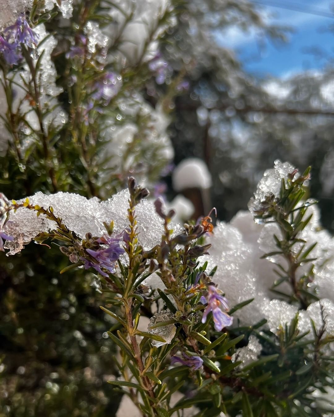"Discover the Prestigious University of Camerino in Italy: A Hub of ...