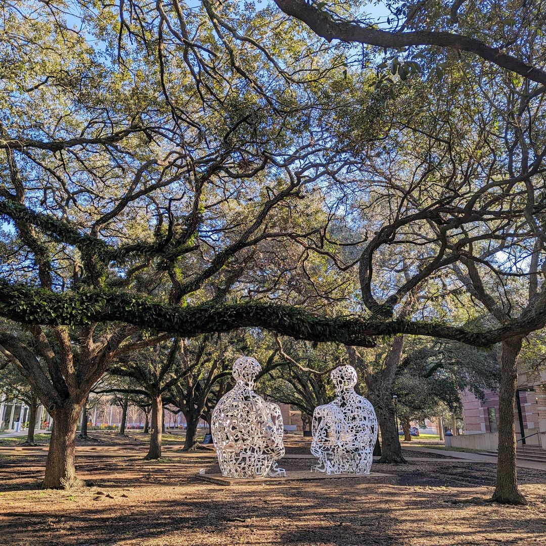 StudyQA — Rice University — Houston — United States: Fees, Rankings ...