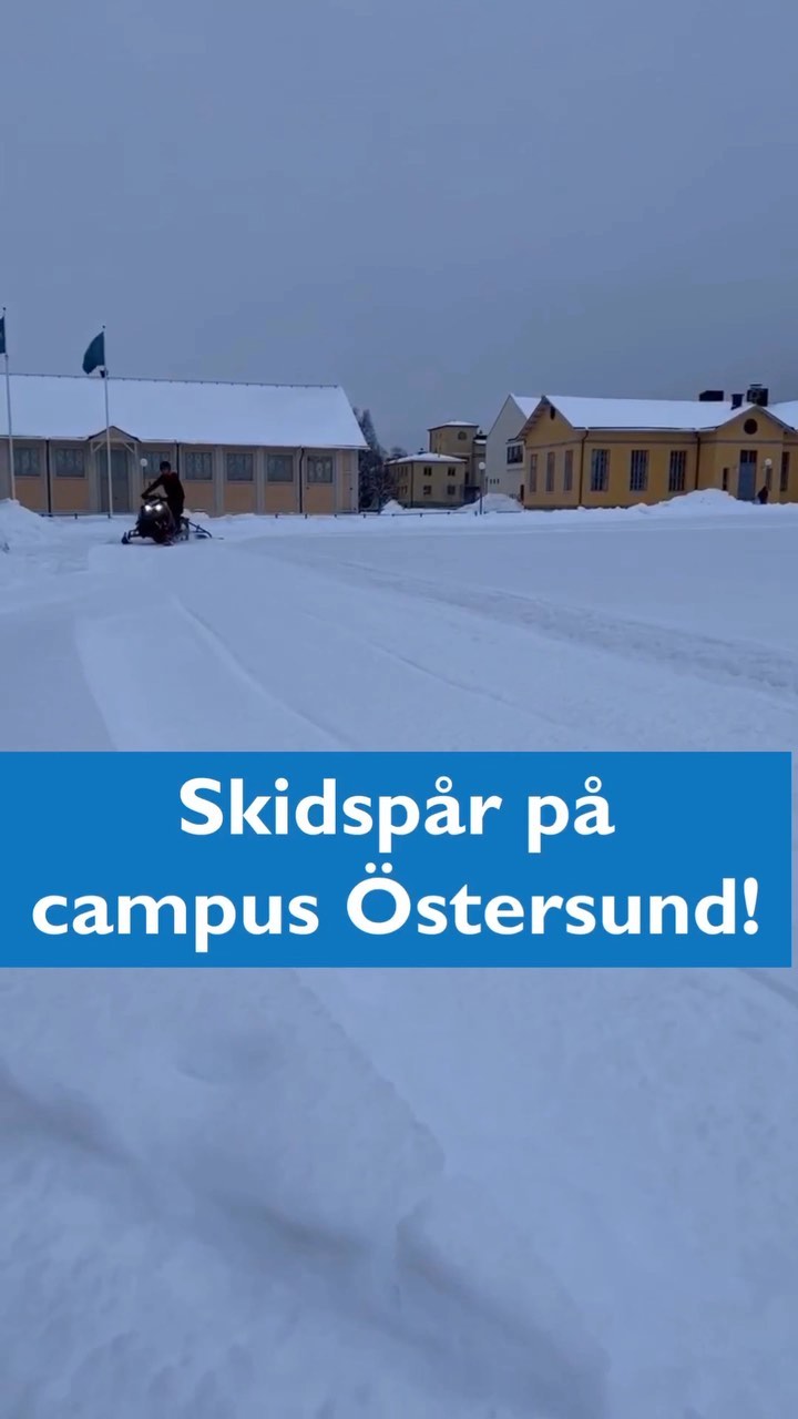 StudyQA — Mid Sweden University — Sundsvall — Sweden: Fees, Rankings ...