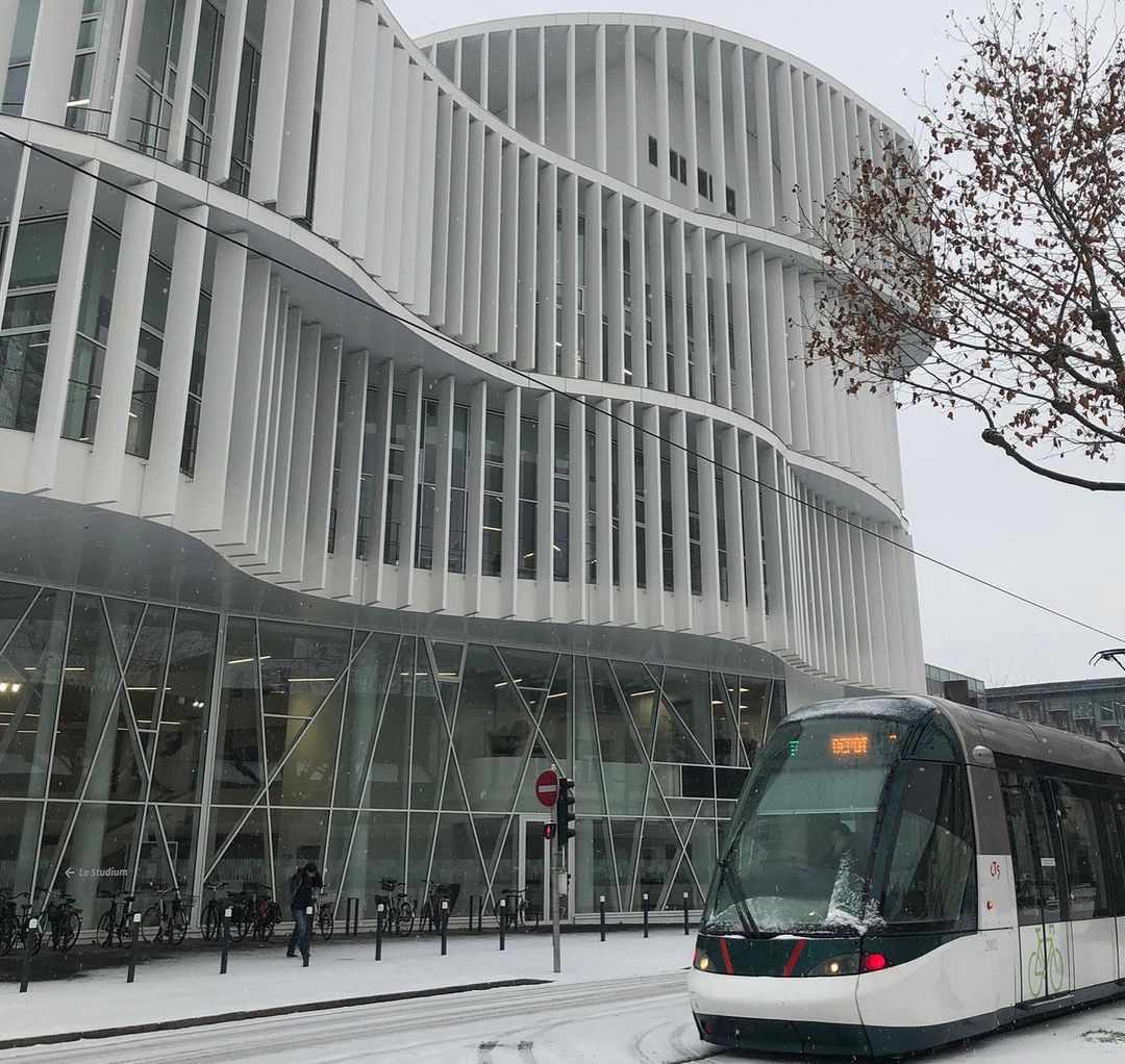 StudyQA — University of Strasbourg — Strasbourg — France: Fees ...