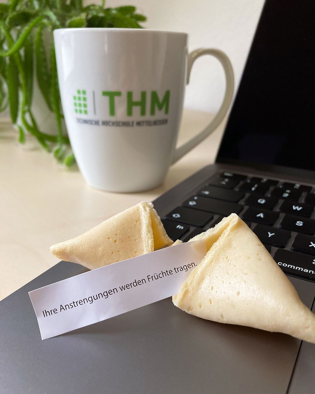 StudyQA — Technical University of Applied Sciences of Central Hesse ...