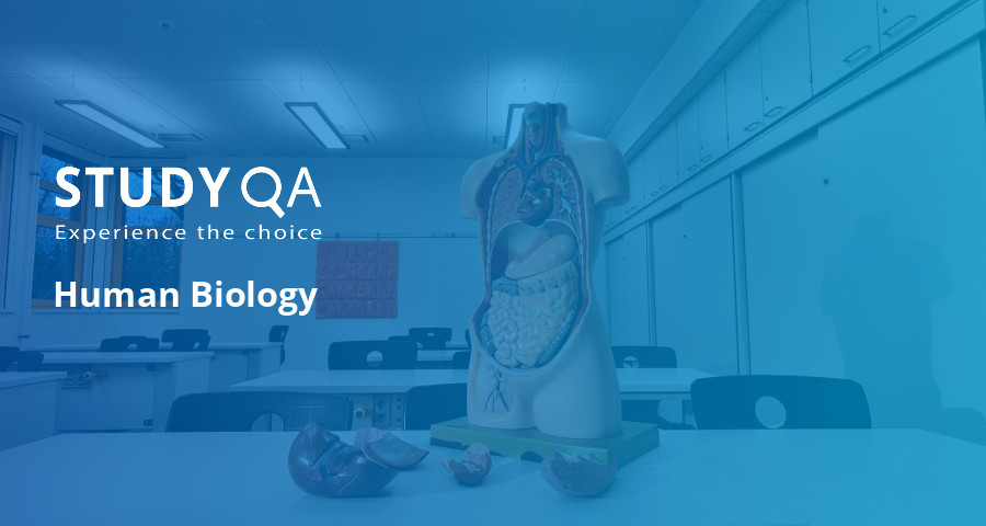 StudyQA — Human Biology
