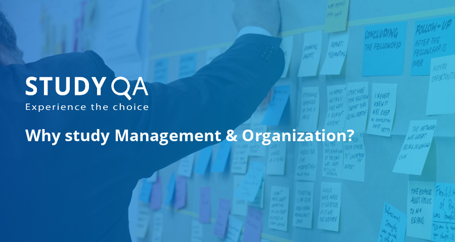 StudyQA — Why study Management & Organization?