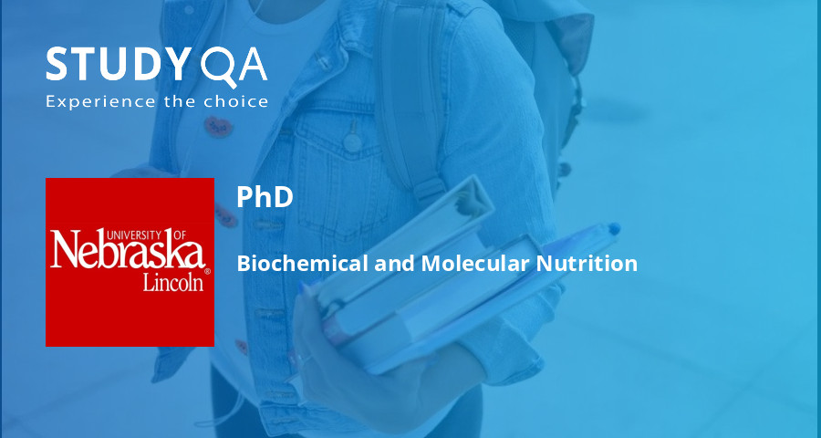 StudyQA — PhD: Biochemical and Molecular Nutrition — University of ...