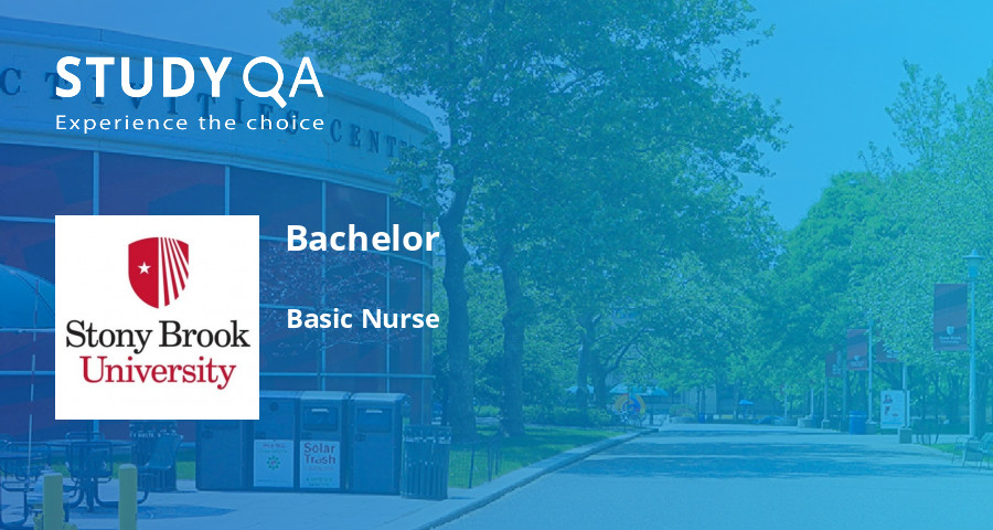 StudyQA — Bachelor: Basic Nurse — Stony Brook University