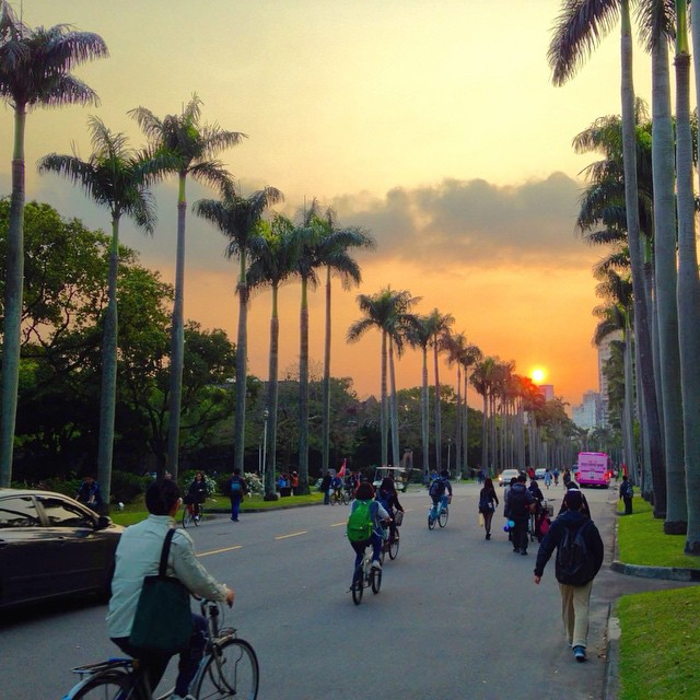 StudyQA — National Taiwan University — Taibei — Taiwan: Fees, Rankings ...