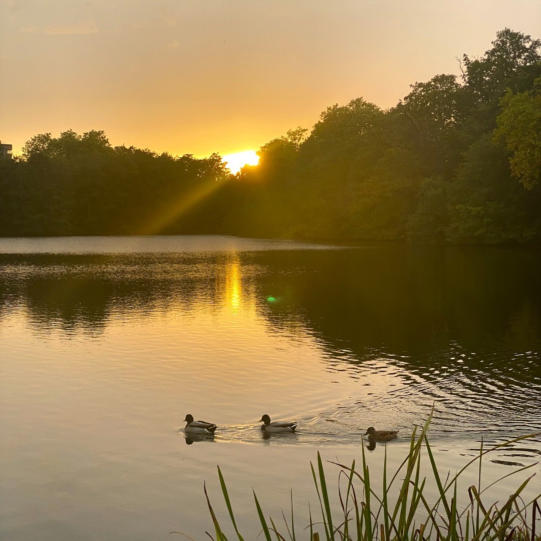 StudyQA — University of Reading — Reading — United Kingdom: Fees ...