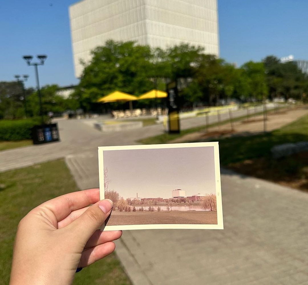 StudyQA — Bachelor: Biomedical Engineering — University of Waterloo