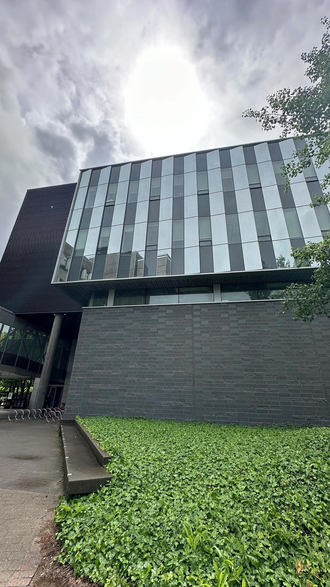 StudyQA — Bachelor: Biomedical Engineering — University of Waterloo