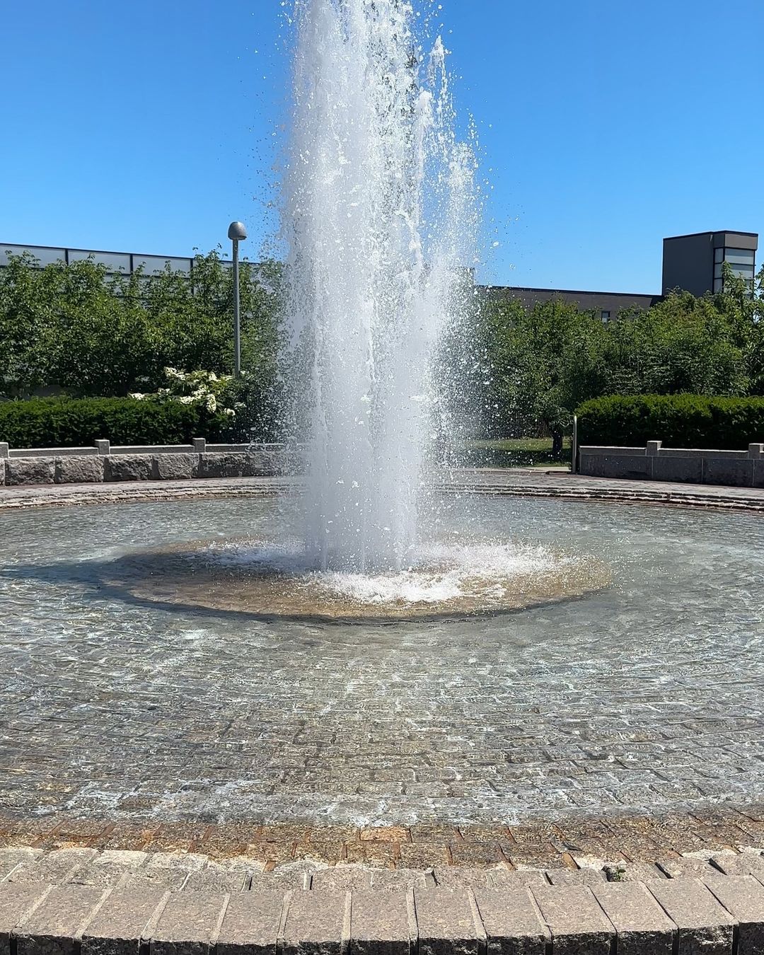 StudyQA — Bachelor: Basic Nurse — Stony Brook University