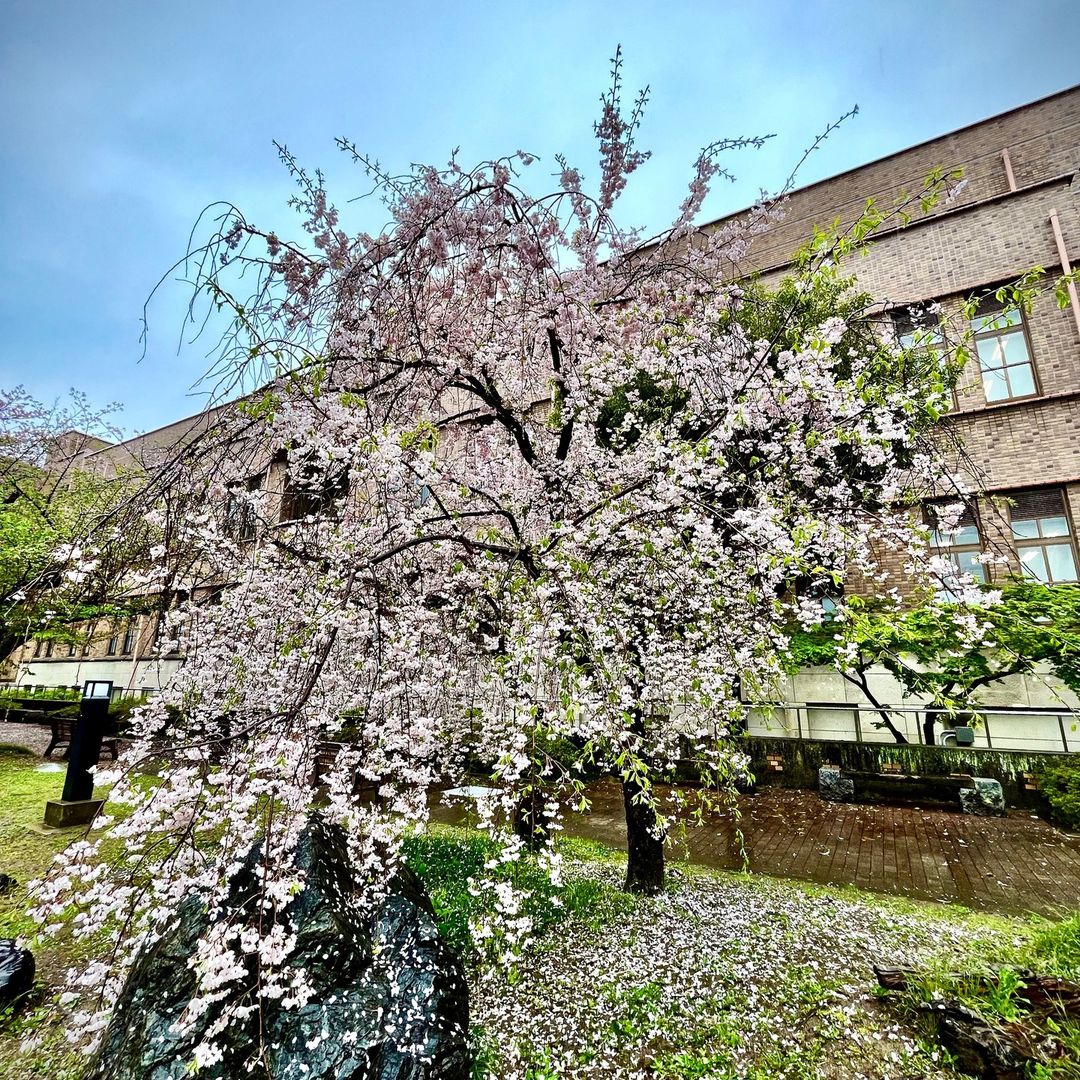 StudyQA — Master: Energy Science — Kyoto University StudyQA — Master: Energy Science — Kyoto University