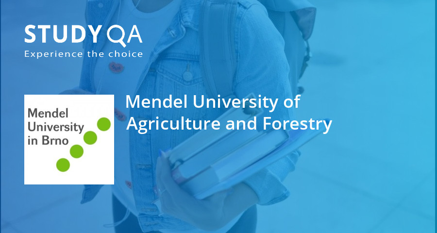 Explore Bachelor's Degree Programs in English at Mendel University of ...