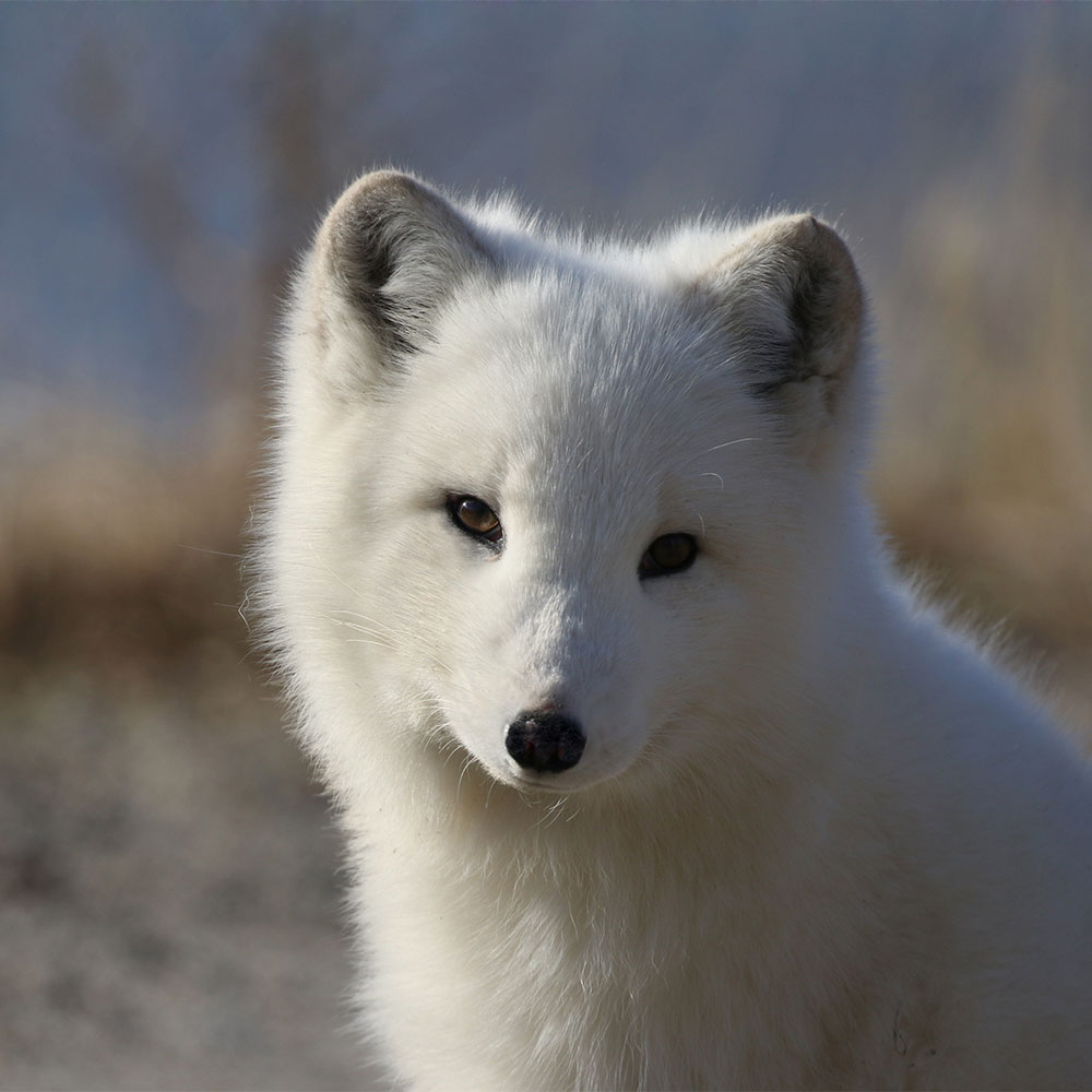 StudyQA — University of Freiburg — Pfarrkirchen — Germany: Fees ...