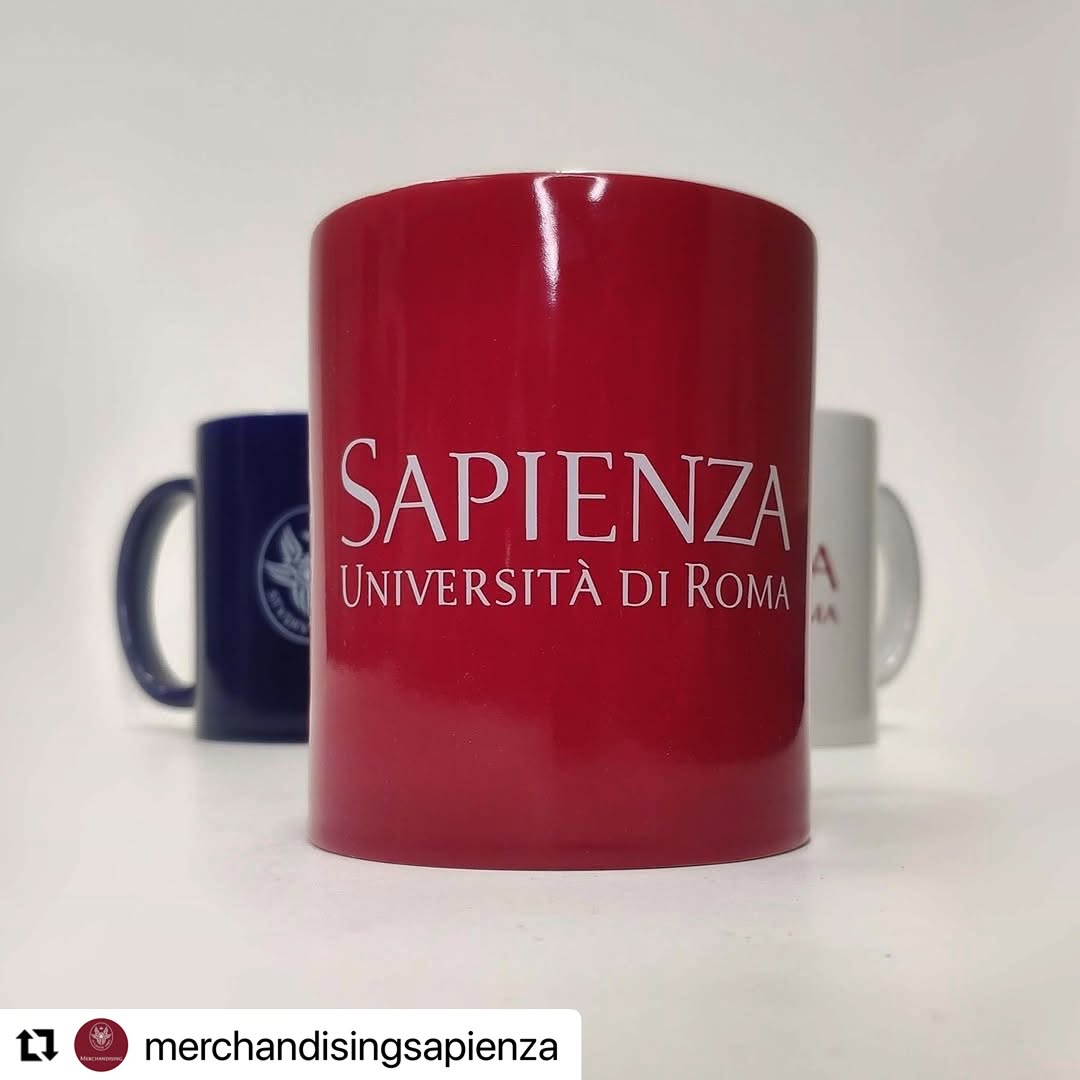 "Civil Engineering Programme at Sapienza University of Rome: Building a ...